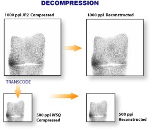 Biometrics Software: WSQ Fingerprint Image Compression