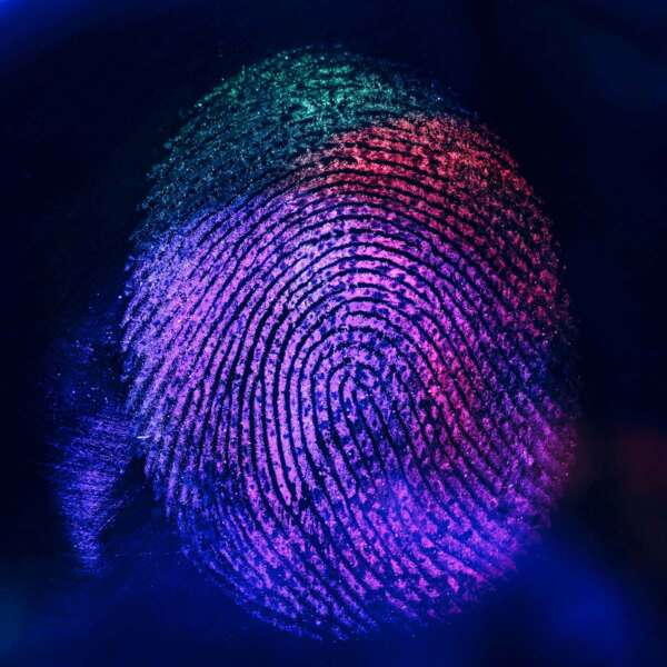 Fingerprint Recognition Software - Nexa|Fingerprint Fingerprint Recognition Software - Nexa|Fingerprint